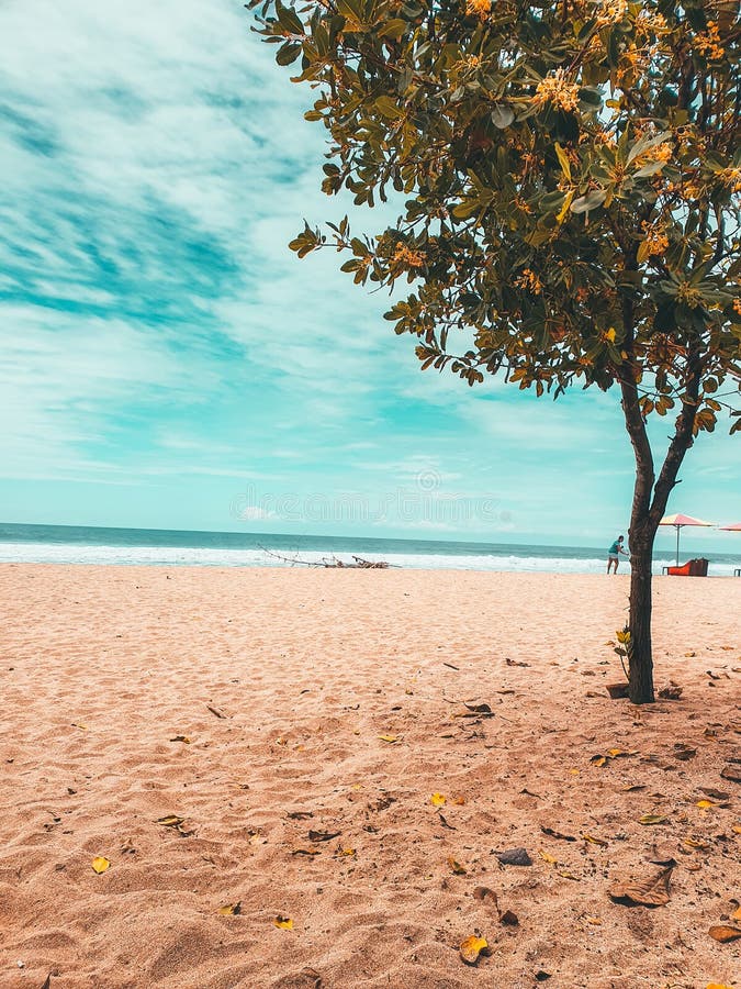 In the Afternoon View on Seminyak Beach, Bali in the Afternoon with ...