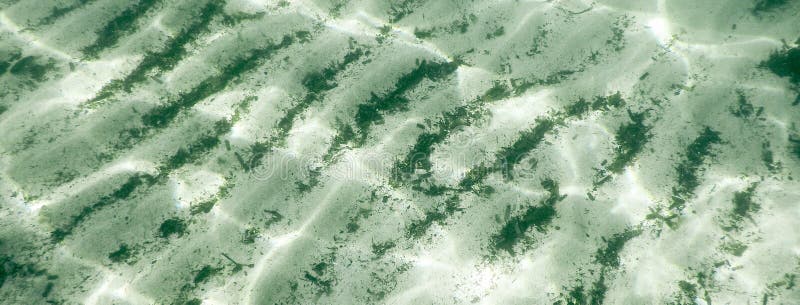 A White Sand Bottom in Salento Beautiful Sandy Beach, Italy Stock Photo ...