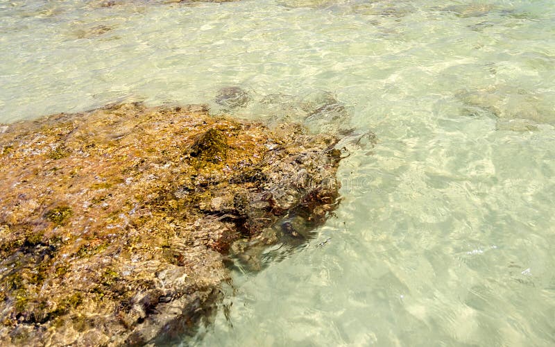 A White Sand Bottom in Salento Beautiful Sandy Beach, Italy Stock Image ...