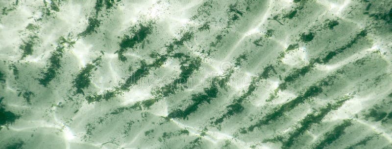 A White Sand Bottom in Salento Beautiful Sandy Beach, Italy Stock Photo ...