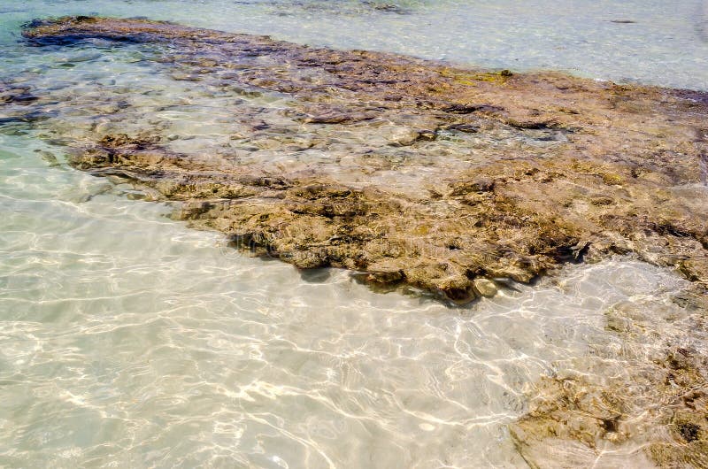 A White Sand Bottom in Salento Beautiful Sandy Beach, Italy Stock Photo ...