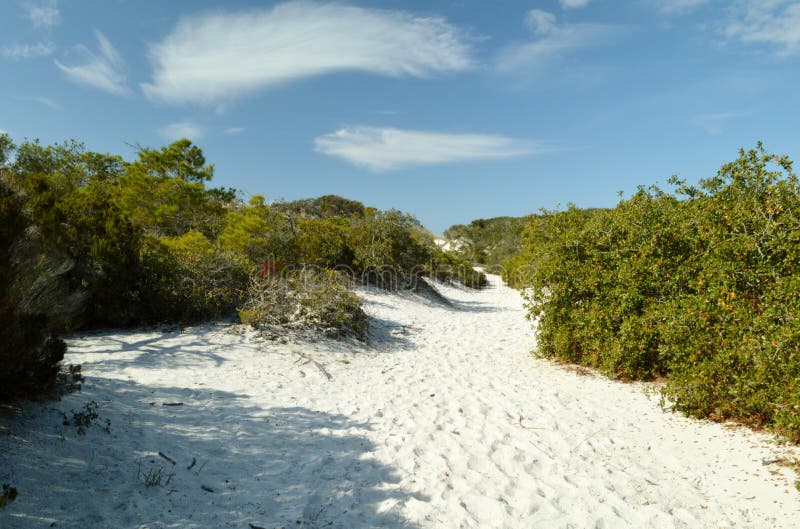 White Sand Dunes in the Panhandle of Florida Stock Image - Image of ...