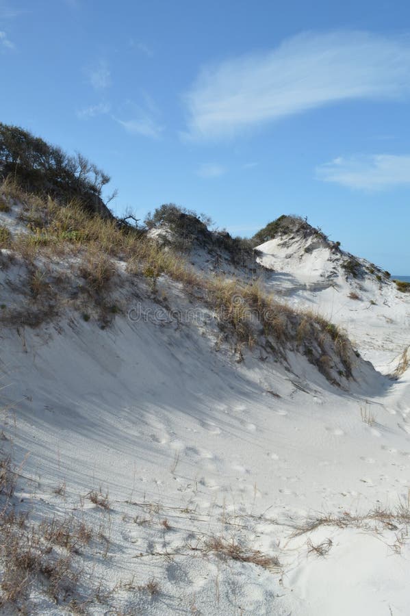 White Sand Dunes in the Panhandle of Florida Stock Image - Image of ...