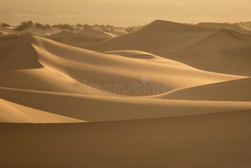 White Sand Dunes with Silky Smooth Texture in a Desert Stock Image ...
