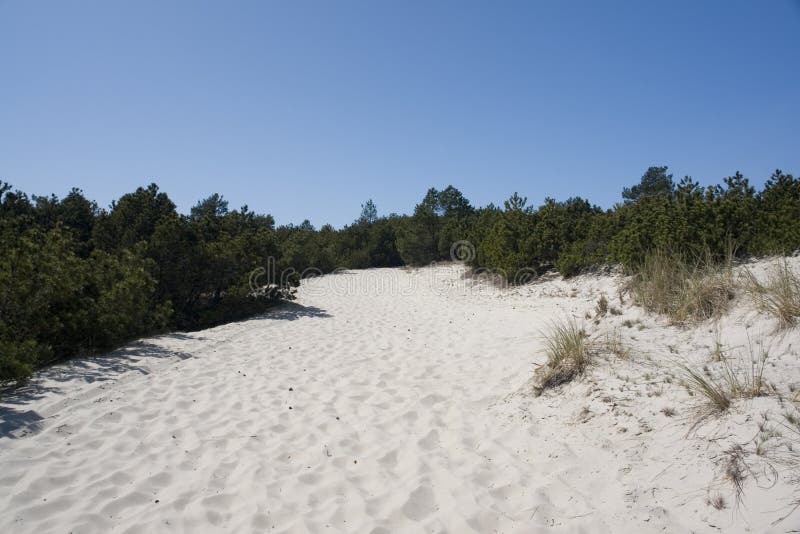 White Sand and Sun stock photo. Image of white, desert - 2372146