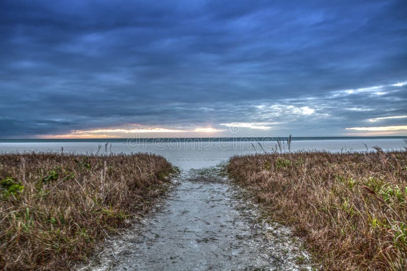 White Sand Path Leading through the Beach Grass at Tigertail Beach at ...