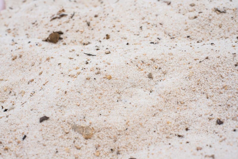 White sand with pebbles stock photo. Image of rocky - 169794662
