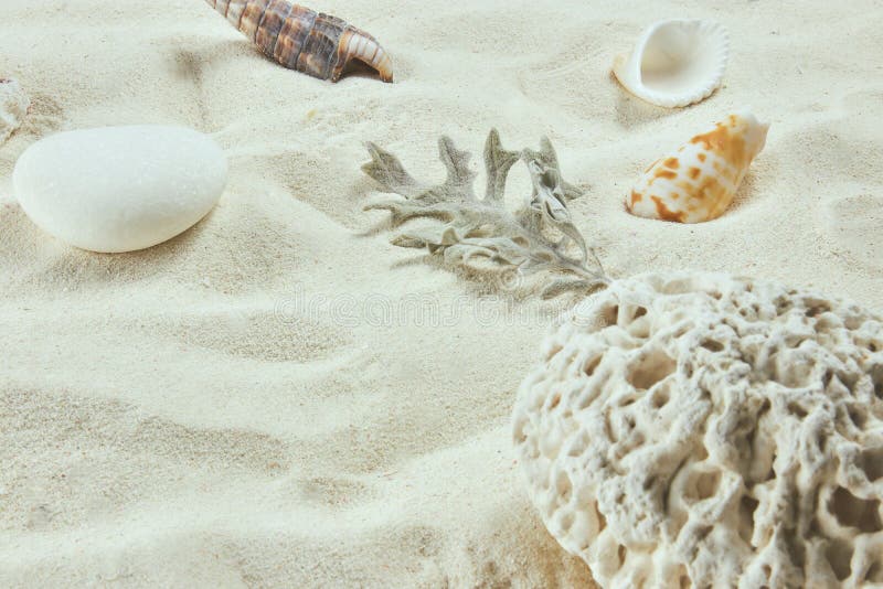 White Sand and Shells. the Background of the Sea Beach. Vertical View ...