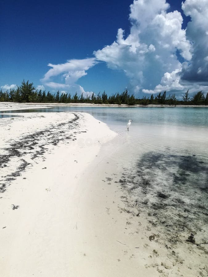 White beach stock photo. Image of white, transparent - 128846964