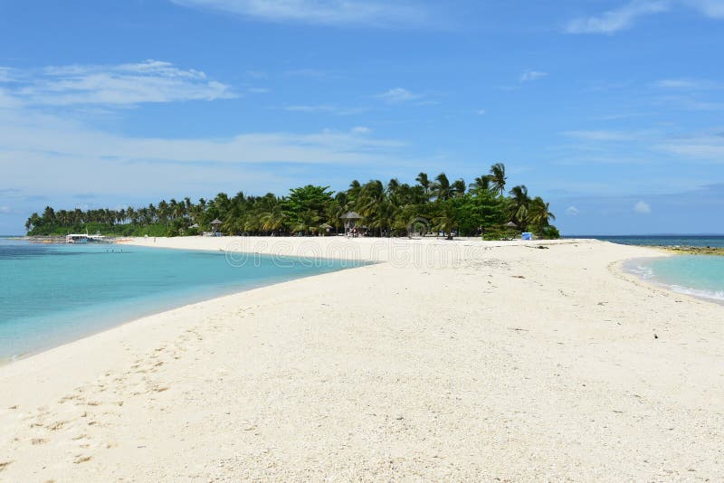 White Sandbars with Green Leaves Trees Stock Photo - Image of coast ...