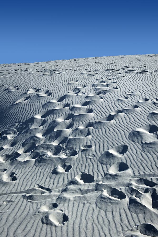 Sand Dunes Patterns stock photo. Image of large, natural - 19365798