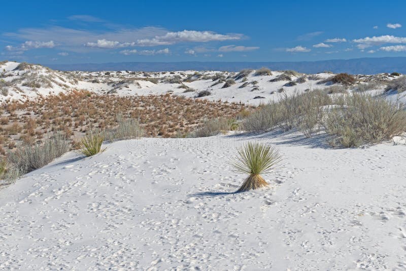 White Sands Panorama in the Fall Stock Photo - Image of gypsum, mexico ...