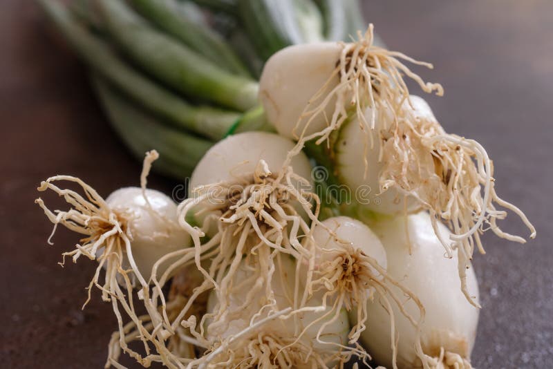 White Scallions with Green Close-up Stock Image - Image of taste ...