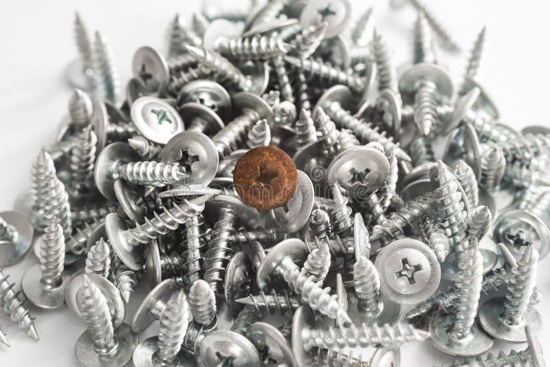 The white screws stock image. Image of macro, fastener - 134182655