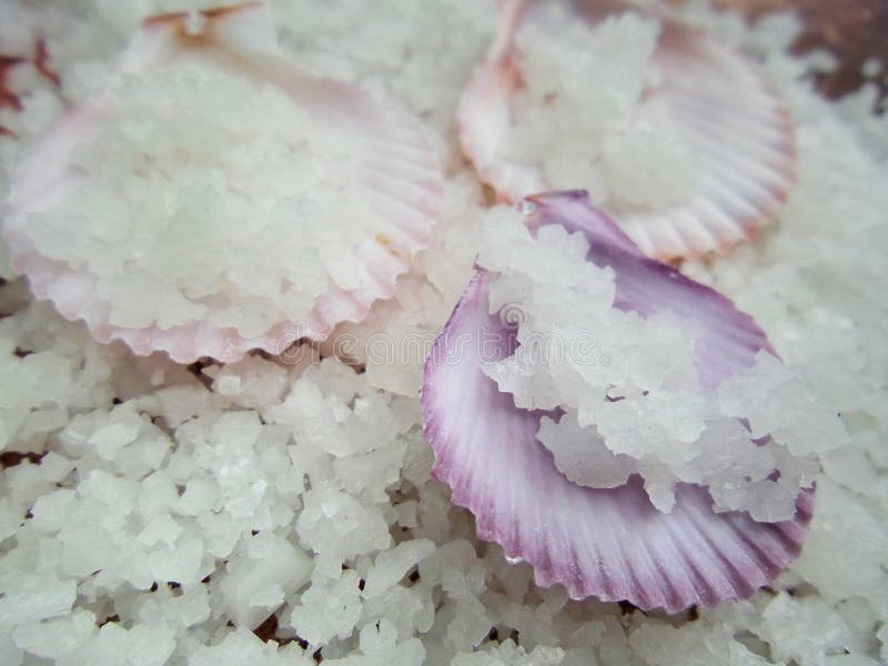 White sea salt stock image. Image of spice, beauty, natural - 38316775