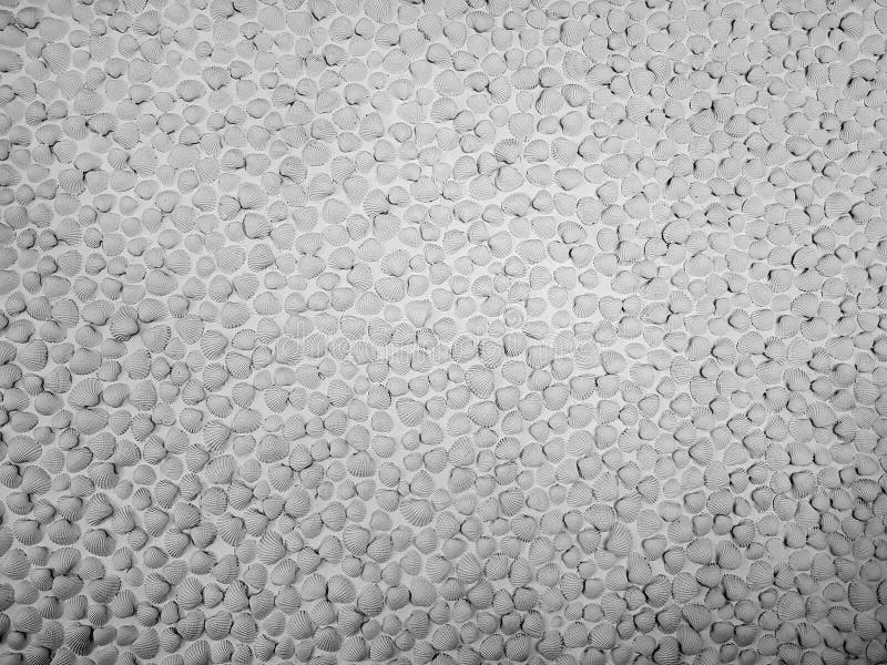 1,851 Shell Seamless Texture Stock Photos - Free & Royalty-Free Stock ...