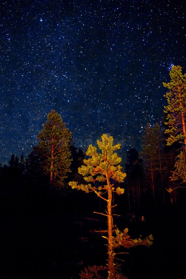 White Sea starry night stock photo. Image of nature, nightscape - 44194796