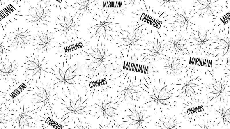 White Seamless Pattern in Doodle Style with Cannabis Leafs. Cannabis ...