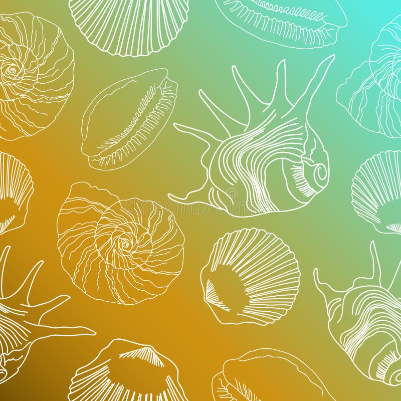 White seashell pattern stock vector. Illustration of graphic - 134978931