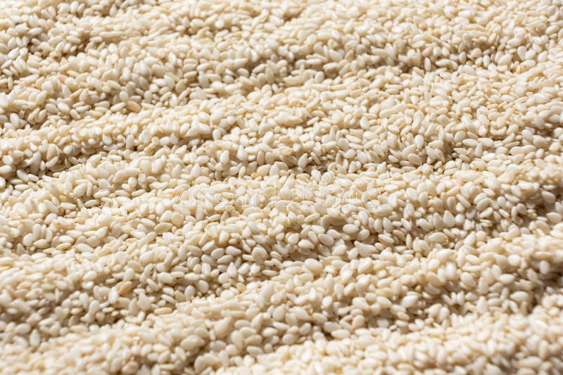Raw White Sesame Seeds Natural Texture Stock Image - Image of sesame ...