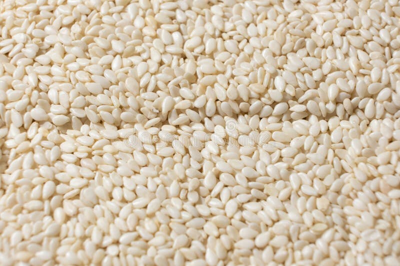 White Sesame Background, Macro Top View. Stock Image - Image of grain ...