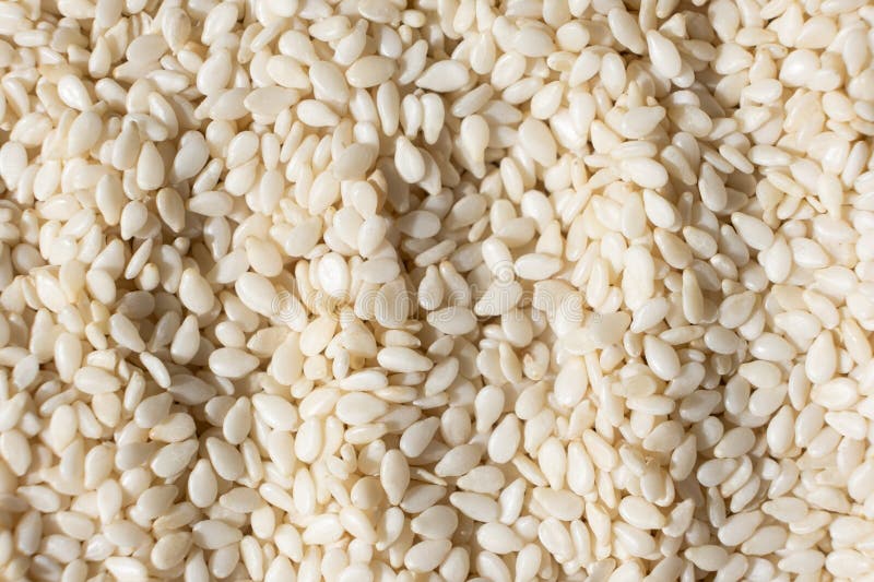 Raw White Sesame Seeds Natural Texture Stock Image - Image of sesame ...
