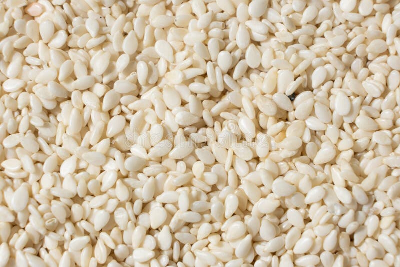 Raw White Sesame Seeds Natural Texture Stock Image - Image of sesame ...