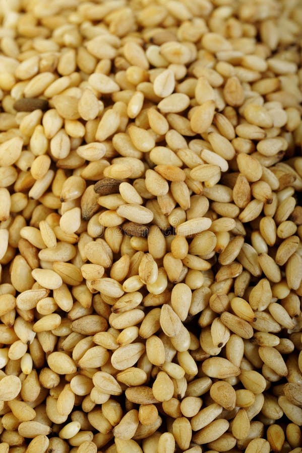 Roasted sesame seeds stock image. Image of sesame, star - 76398297