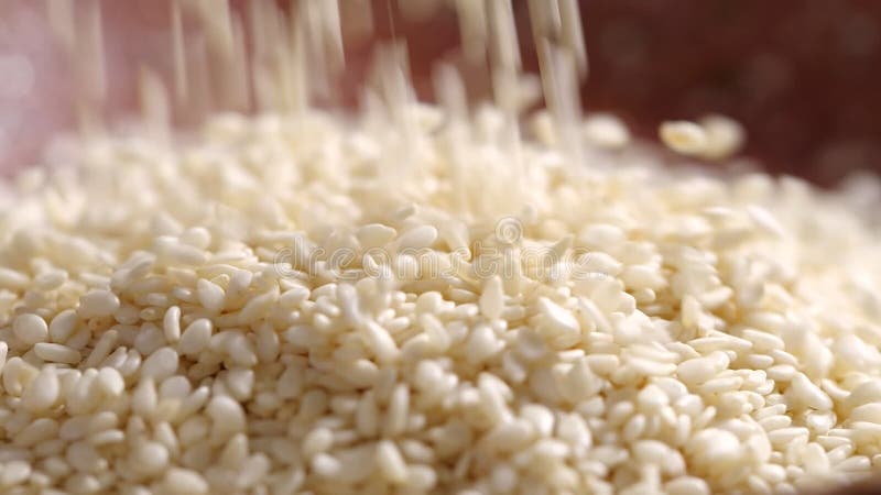 White Sesame Falling on Black Background Slow Motion. Stock Footage ...