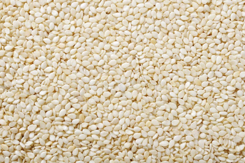 Sesame Seed stock photo. Image of object, food, healthy - 89160