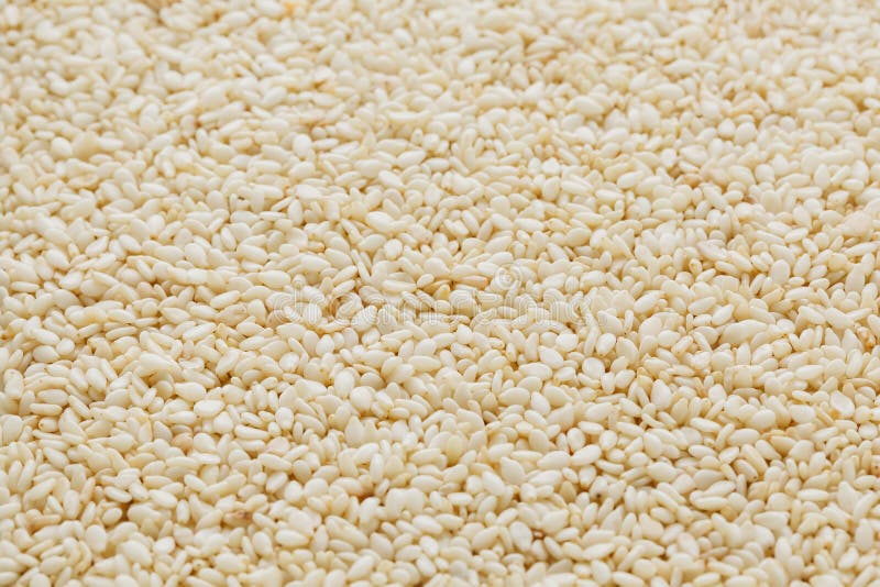White Sesame Seeds Background. Useful Seeds for Cooking Stock Image ...