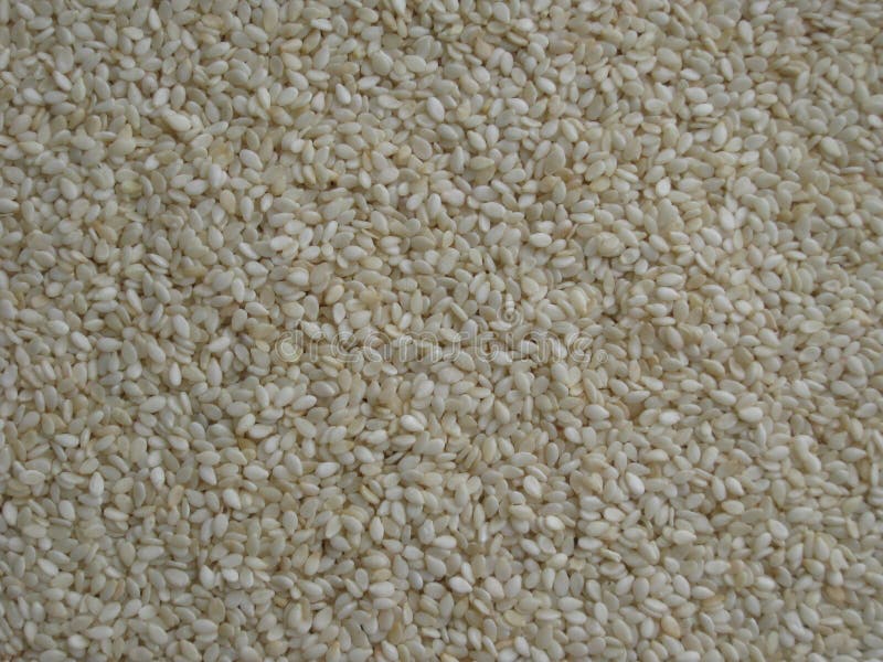 White sesame seeds stock image. Image of cooking, background - 255006437