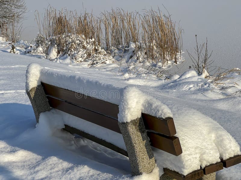 White Shades of Winter, a Snow-covered Bench by a Frozen Pond Stock ...