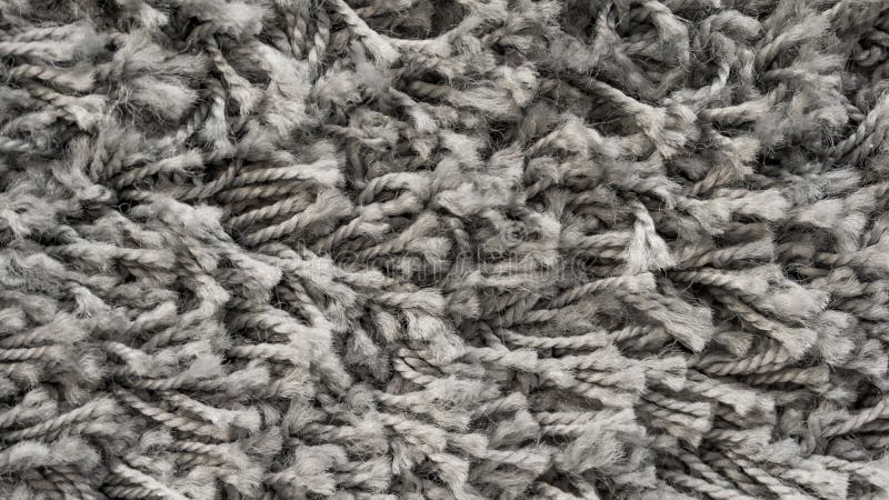 White Shaggy Carpet Texture, Rug with Short Wool Background Stock Photo ...
