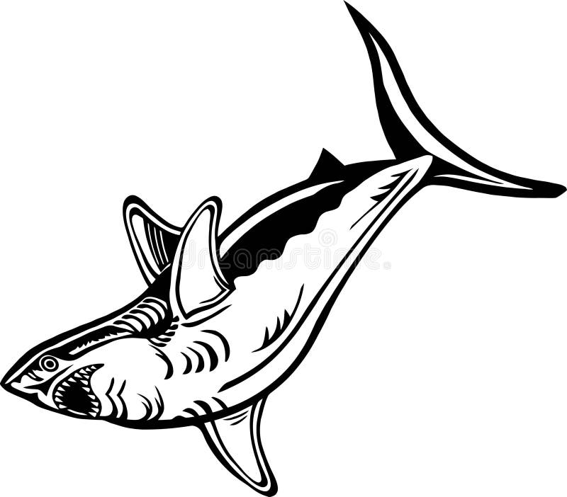 White Shark - American Fishes - Logo Fish Vector, Fish Stencil Stock ...