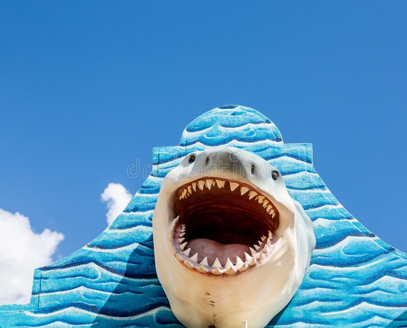 White Shark on Blue Wall stock photo. Image of head, predator - 55973962