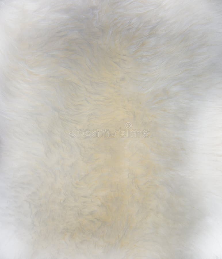 White sheepskin background stock image. Image of design - 104566317