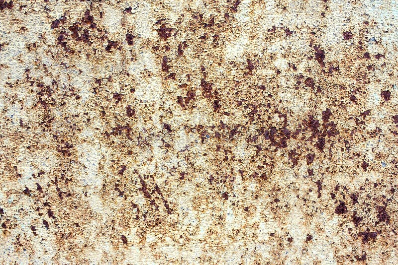 White Sheet Metal with a Rust Stock Photo - Image of faded, rust: 52983180