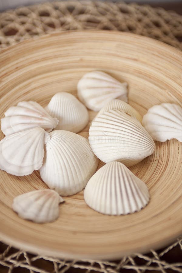 White Shells Close Up On White Stock Photo - Image of holiday, close ...