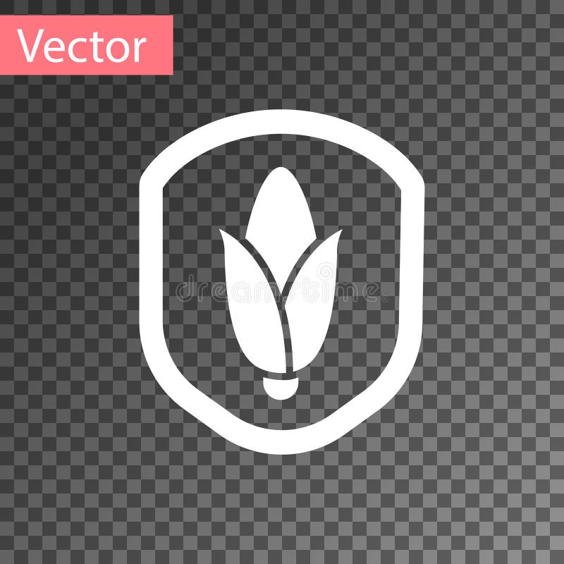 White Shield Corn Icon Isolated on Transparent Background. Security ...