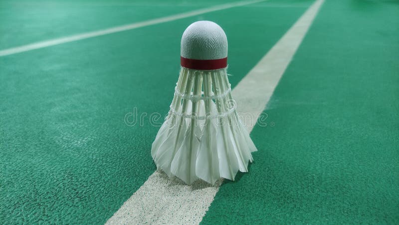 White Shuttlecock Zapoteca Portoricensis, White Flower Stock Image ...