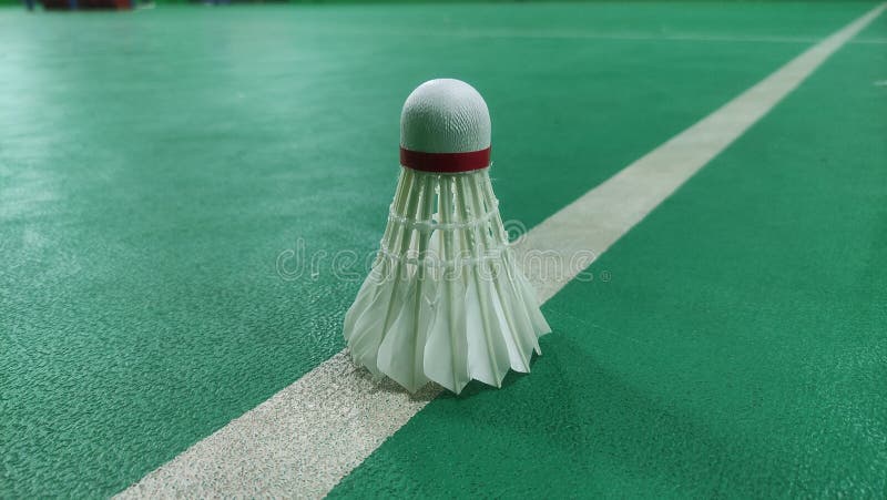 White Shuttlecock Zapoteca Portoricensis, White Flower Stock Image ...