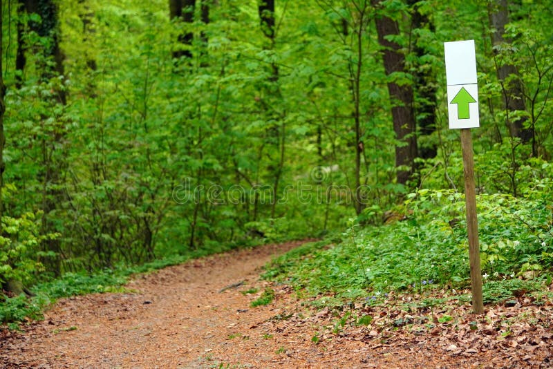 White Sign or Label with Green Arrow on Stick on Path in Green Spring ...