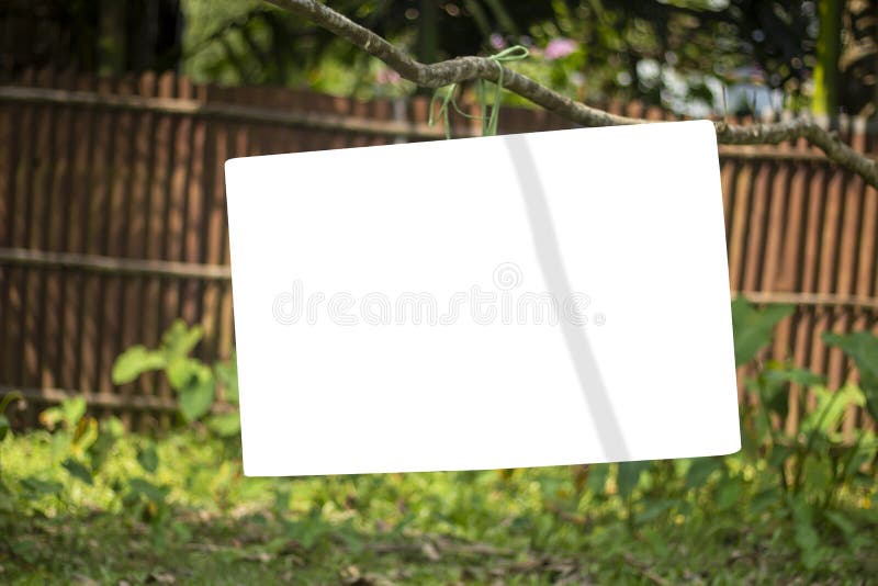 A White Signboard with a Tree Branch is Hanging and the Background ...