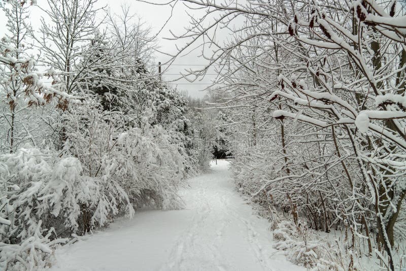 White silence stock photo. Image of panorama, blue, horizon - 268208400