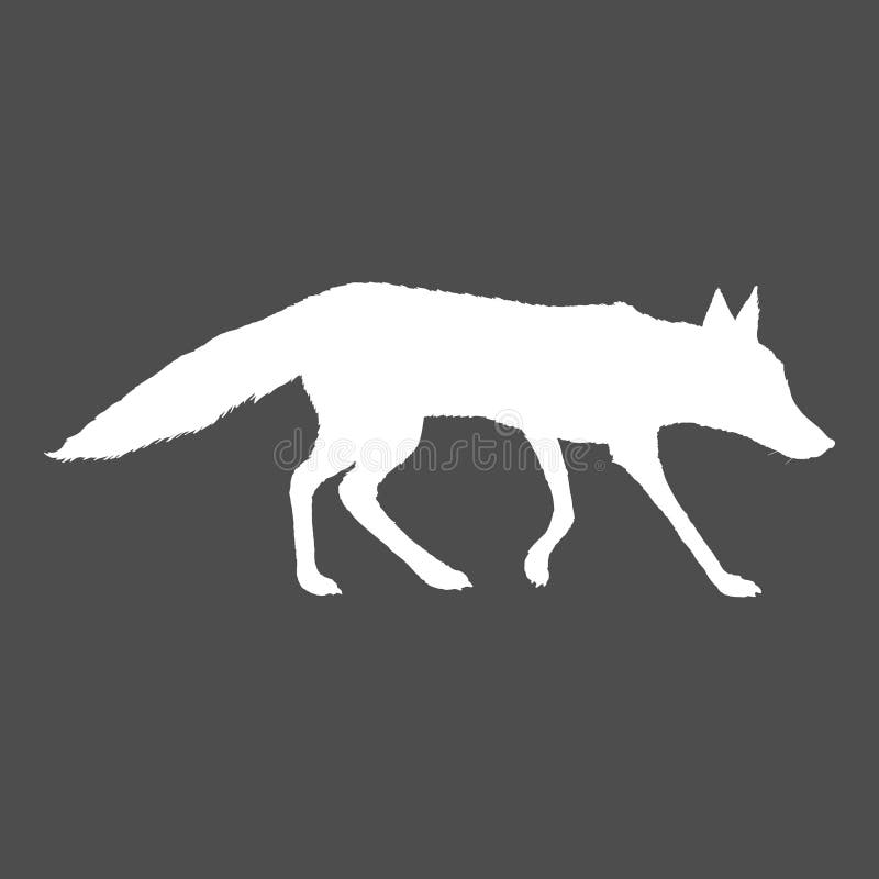 White Silhouette Walking Fox. Vector Illustration Stock Vector ...