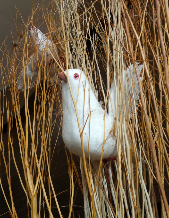 White Silk Cocoon Bird in Dry Brown Sticks Stock Image - Image of brown ...