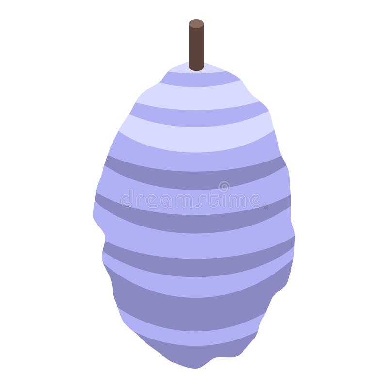 White Silk Cocoon Icon Isometric Vector. Insect Transformation Stock ...