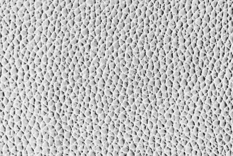 White skin texture stock image. Image of book, animal - 13735393