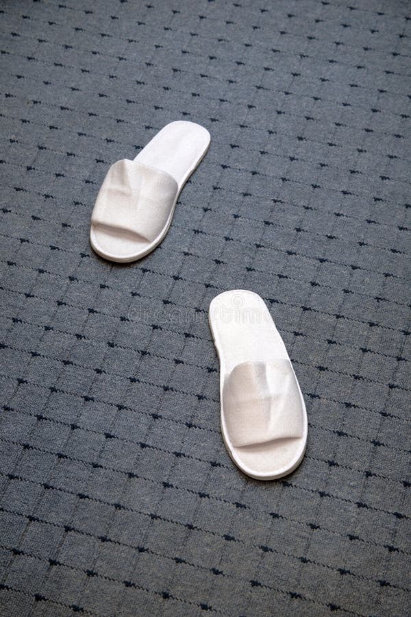 Welcome home! #1 stock image. Image of doorstep, double - 4391027